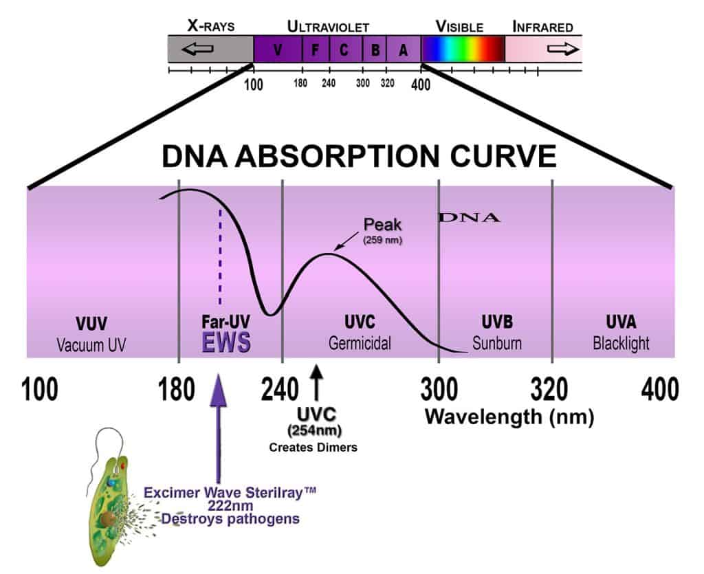 DNA-Light-Spectrum-EWSbetter | auto connected car news